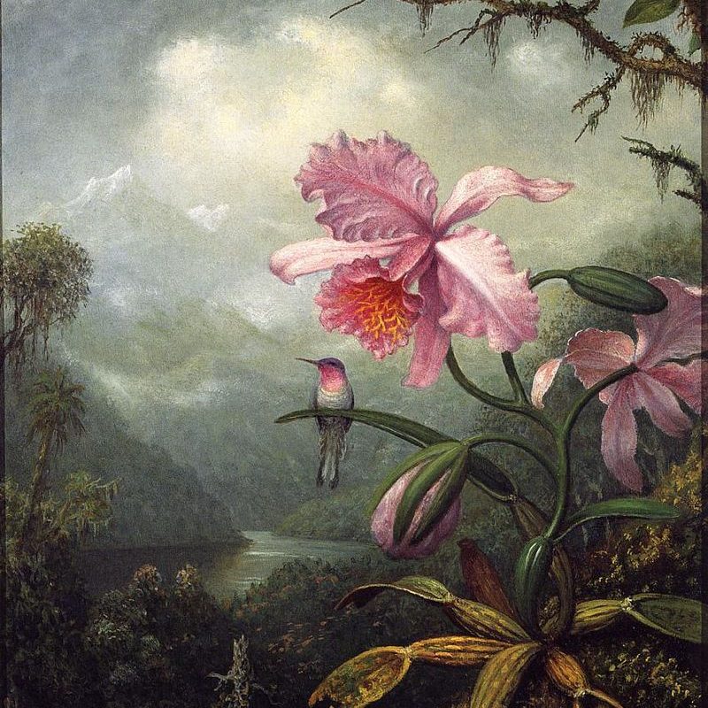 Inspiration: “Hummingbird and Passionflowers,” by Martin Johnson Heade ...